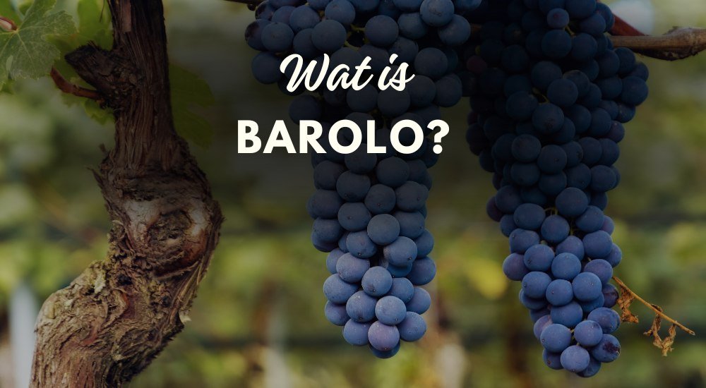Barolo wijn: de koning van de Italiaanse wijnen – Luxury Grapes